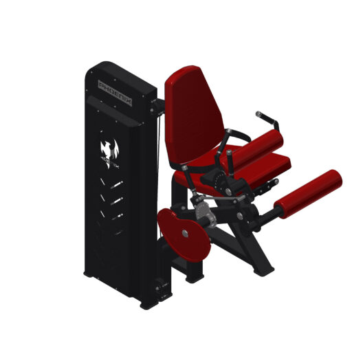 Seated Hamstring Curl - PHOENIX STRENGTH